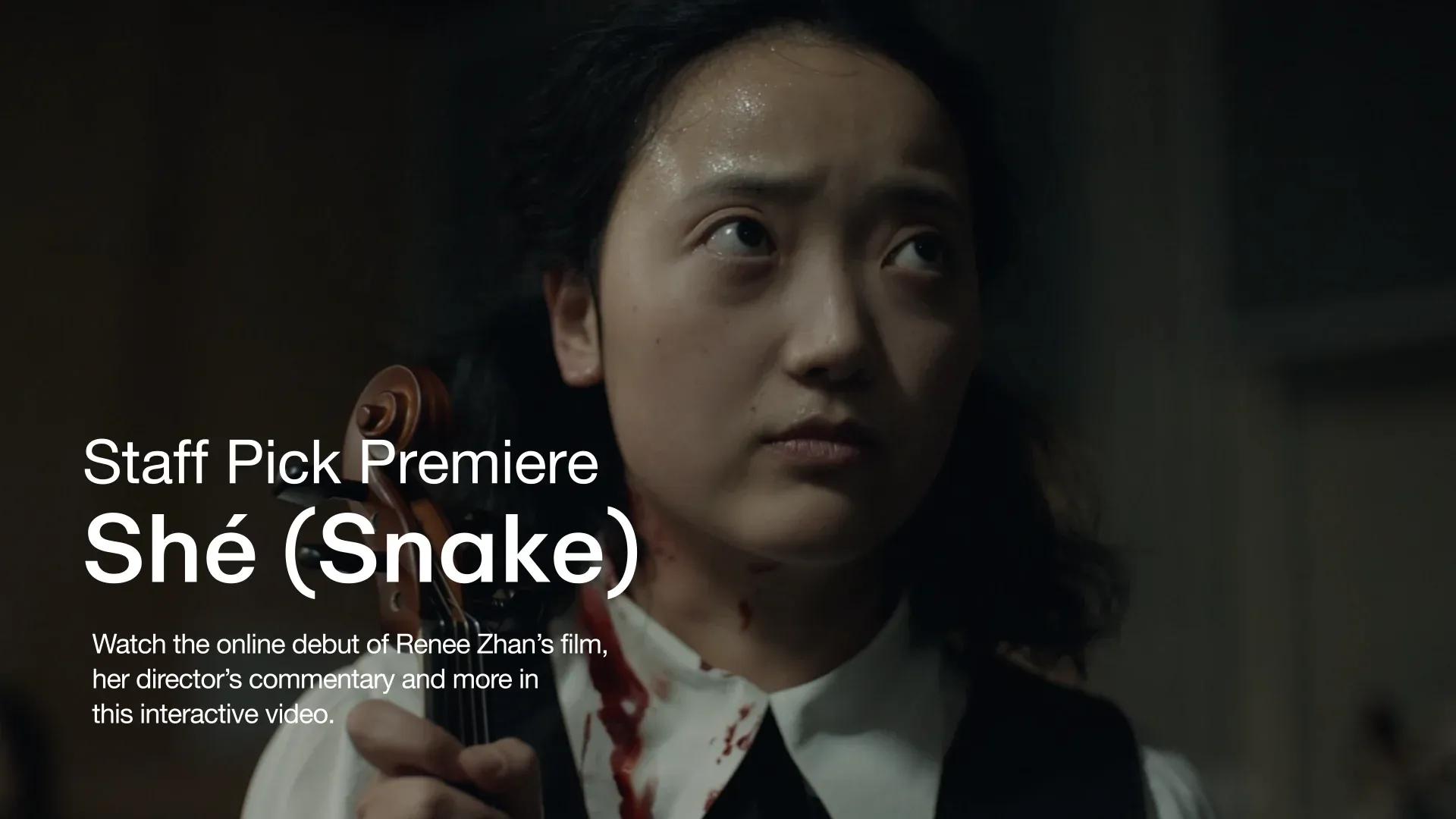 10 of the Best Thriller Videos| Tense & Mind‑Bending Vimeo Shorts