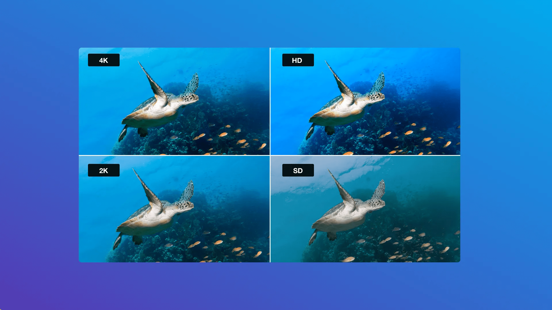 Video Resolution Explained: Insights for Better Quality